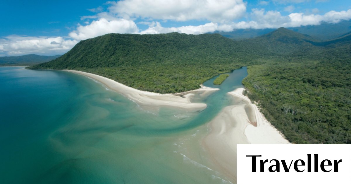 Far North Queensland road trip: Travel tips on driving Cape Tribulation ...