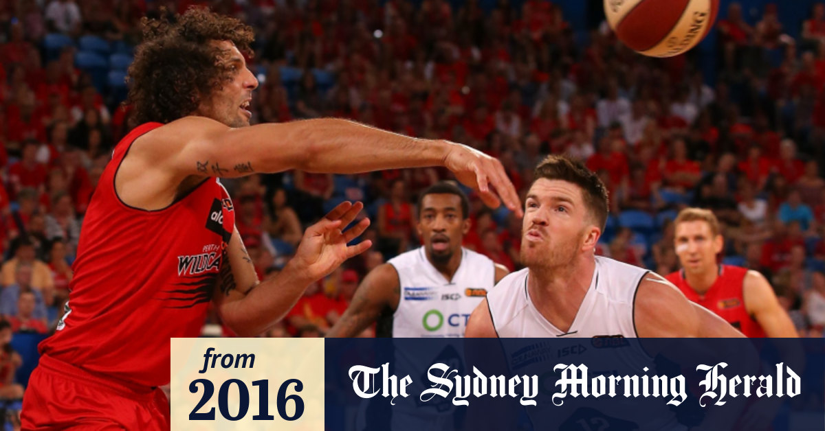 Matt Knight ready to return for Perth Wildcats' clash against Illawarra ...