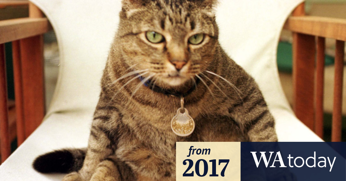 Bonus busted: WA 'fat cats' lose bumper payouts