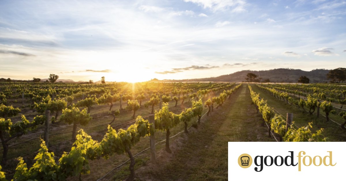 Three Mudgee wines to enjoy