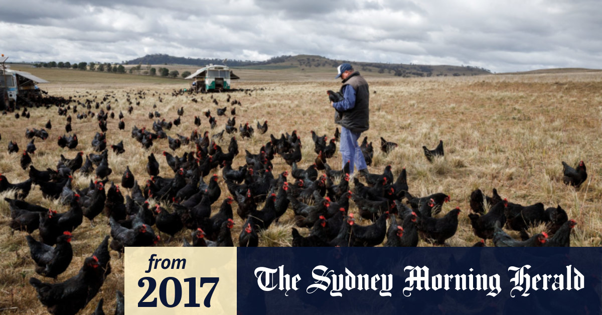 Backdating your GST registration