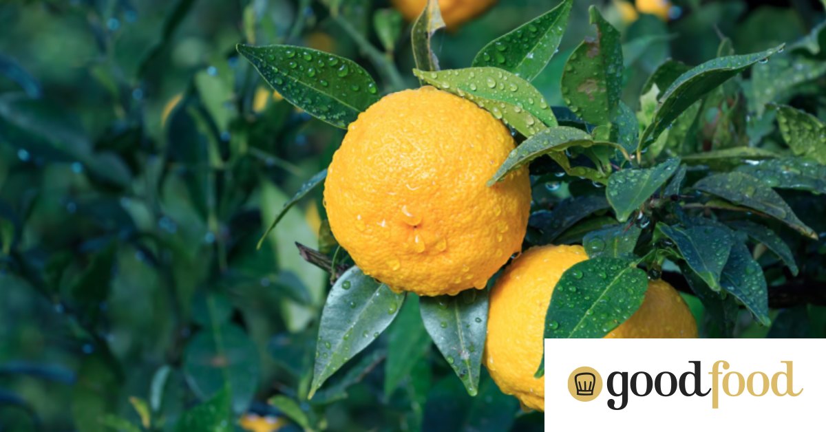 Yuzu: Everything you need to know