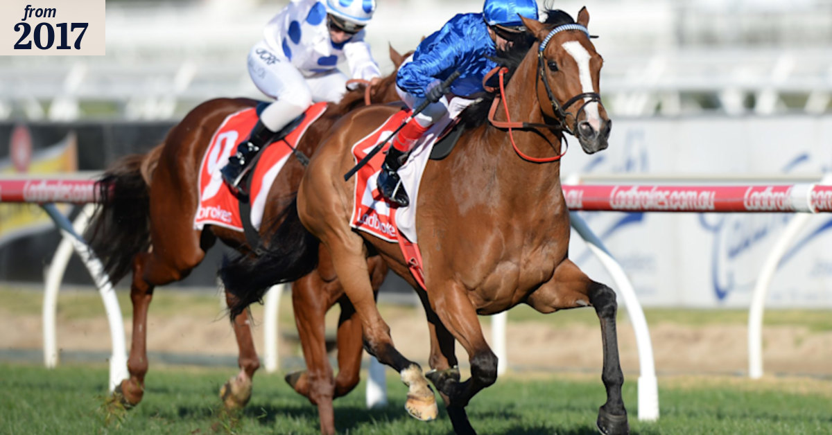Hartnell jockey Craig Williams fined $2000 for filling his boots with tools