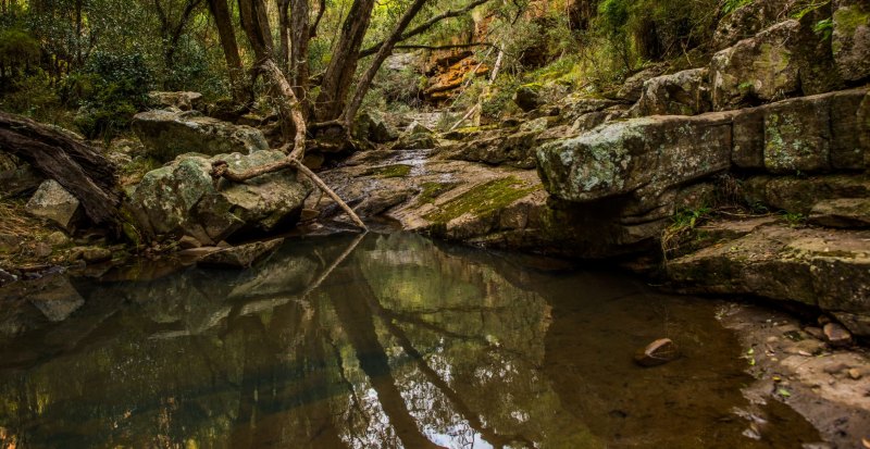 Six reasons to visit Lindenow