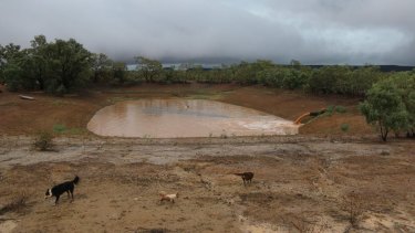Central Queensland hit by much needed heavy rainfall