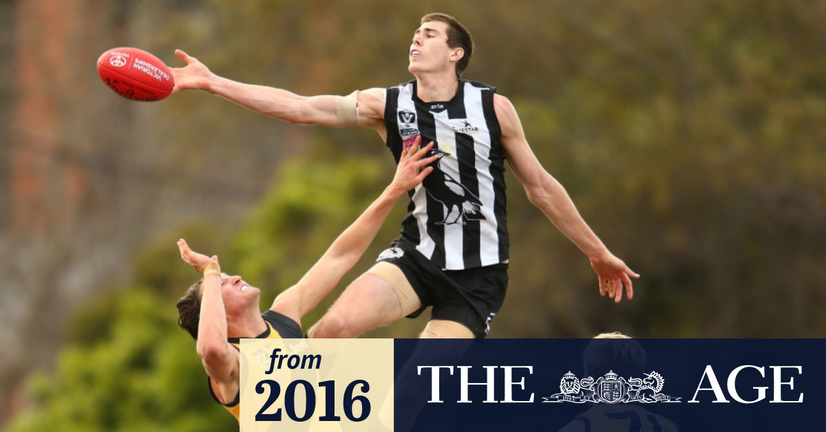 Collingwood's US import Mason Cox taking giant steps towards AFL debut