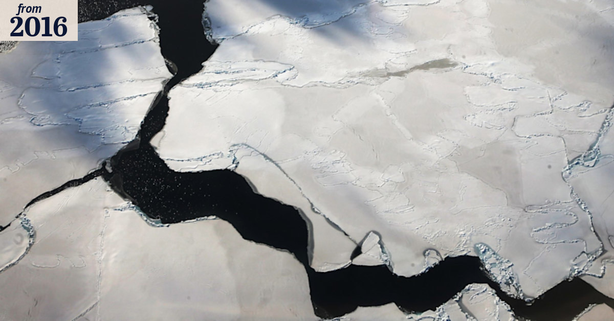'Remarkable year': What's behind the record low sea ice in Antarctica