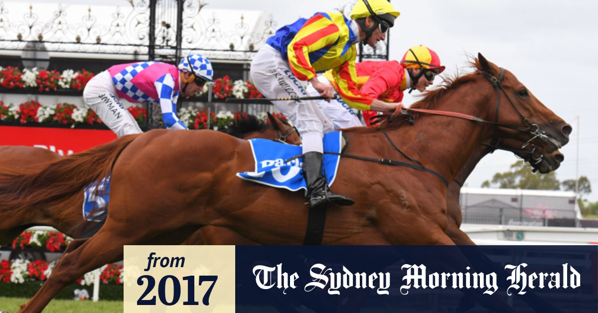 The Championships: Matt Dale and Bryce Heys best of enemies with Fell ...