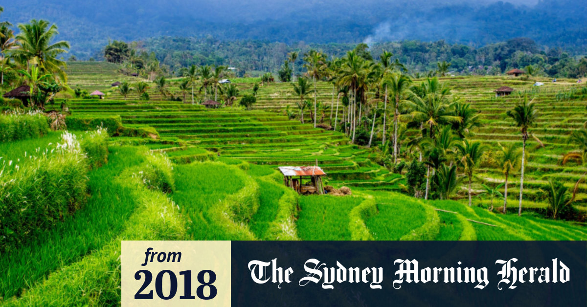 Video: The must-do highlights of Bali