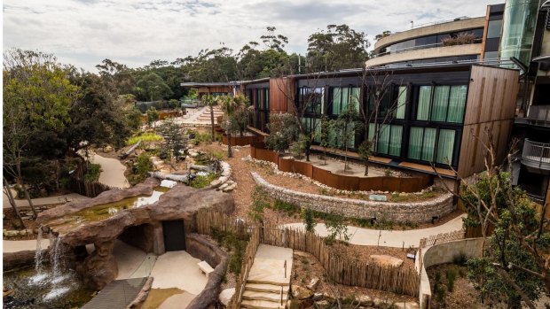 Zoo accommodation in Australia: The new ways to stay among animals
