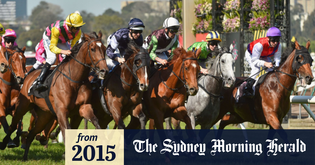 Melbourne Cup confirmed for The Bart Cummings winner Let's Make Adeal