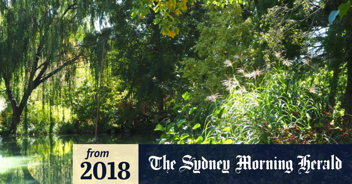 Sutton Forest's Red Cow Farm: From cows to a rose garden with canopy of ...