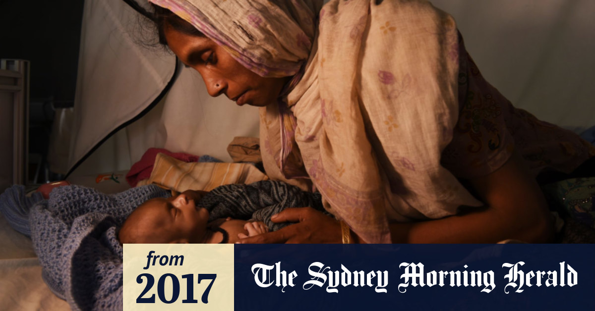 Hundreds of Rohingya villages destroyed, report finds