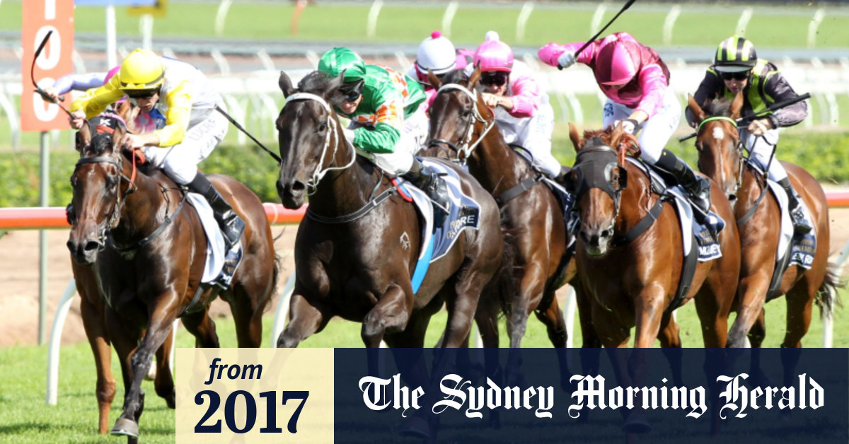 Racing NSW lifts race fields fee and moves Provincial Championships to ...