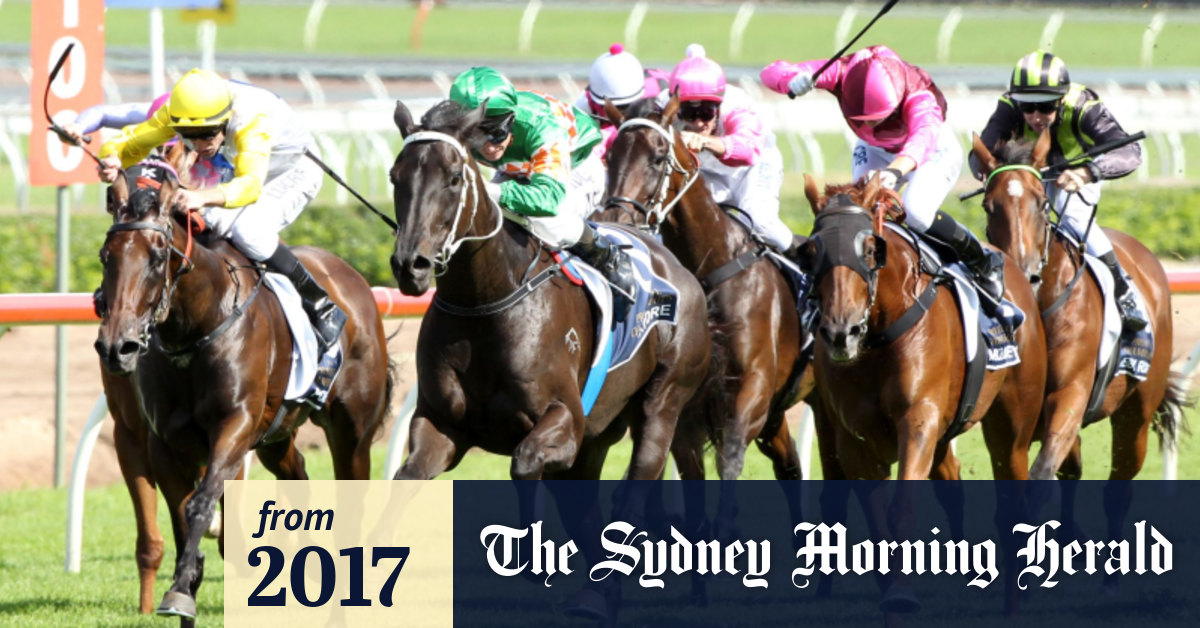 Racing NSW lifts race fields fee and moves Provincial Championships to ...