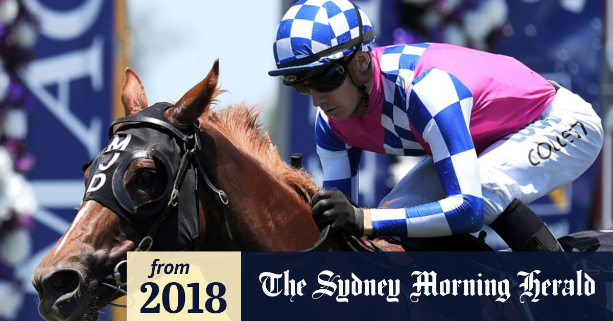 Matt Dale gets good value in Zafina as she takes Magic Millions Country Cup