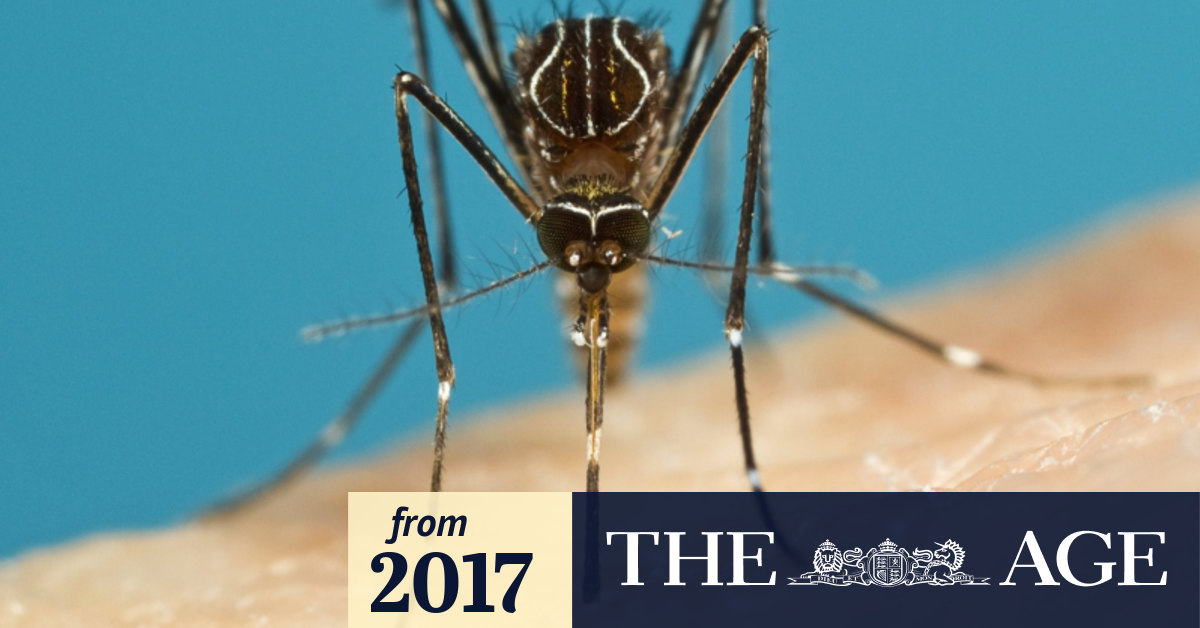 Ross River virus: 150 more victims in Victoria as outbreak tally tops 1000