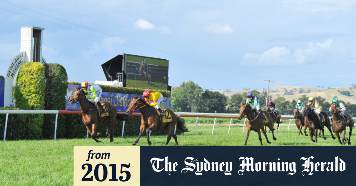 Zero To Ten makes Jim Scobie look like a genius after hometown Snake ...