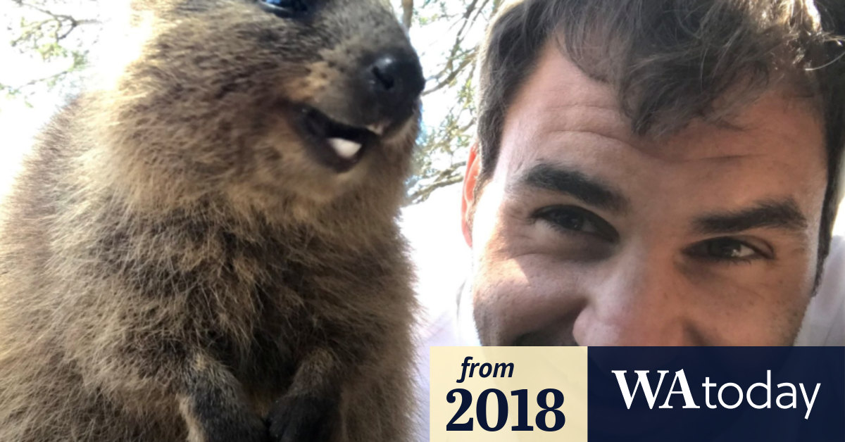 Roger Federer's Rottnest quokka selfie a Western Australian tourism success
