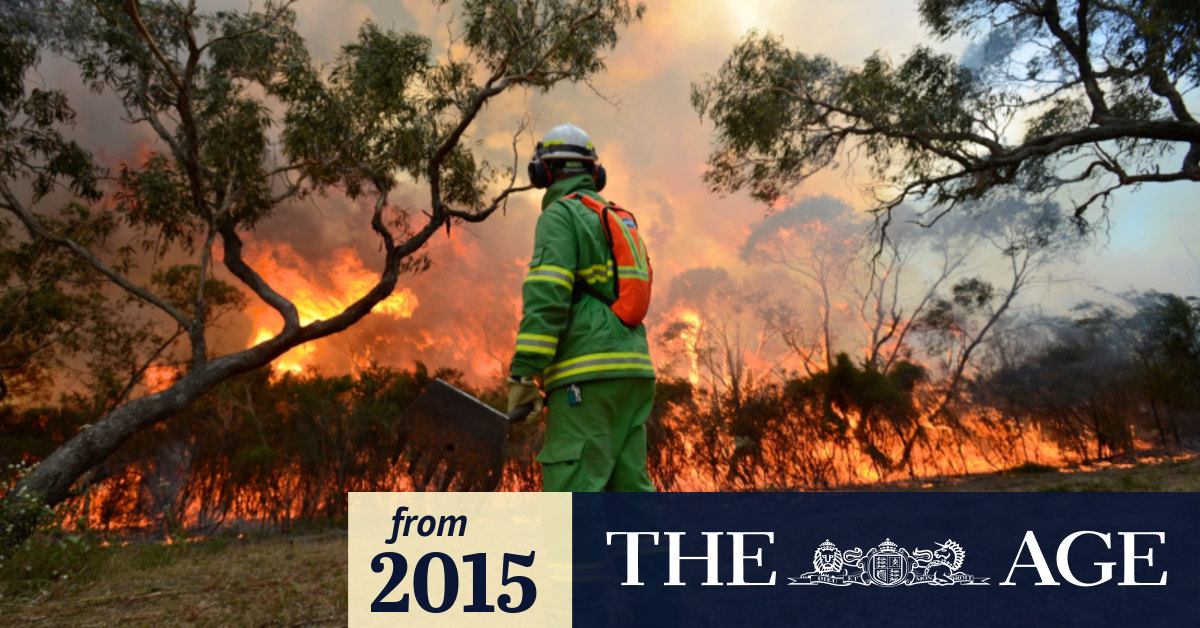 Sunday explainer: Burn-offs the frontline in preventing bushfires