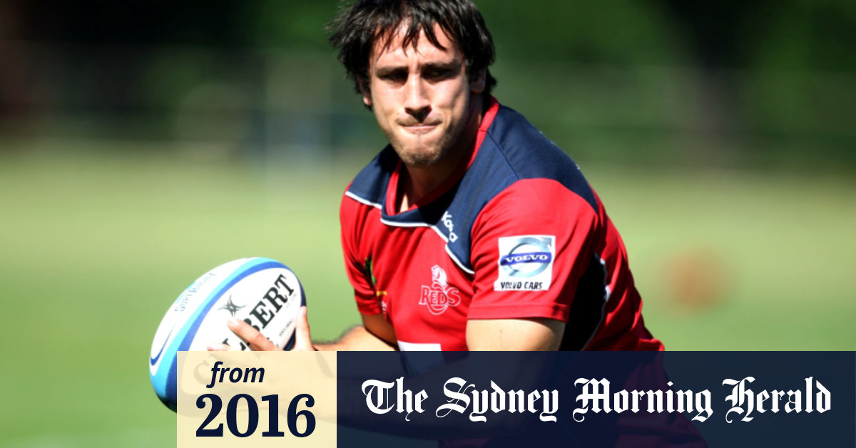 Queensland Reds prop Ben Daley makes Super Rugby switch to Western Force