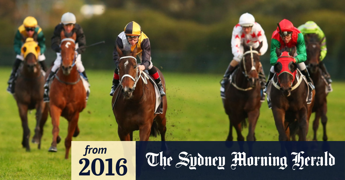 Sydney Saturday racing preview