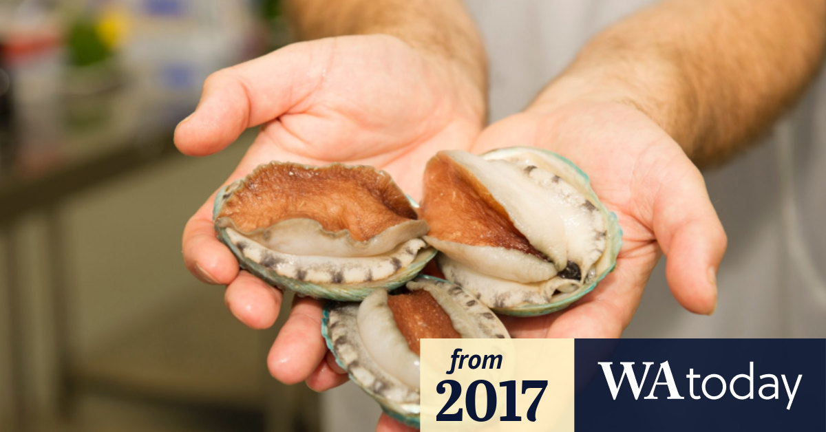 Deaths spark change to WA abalone season