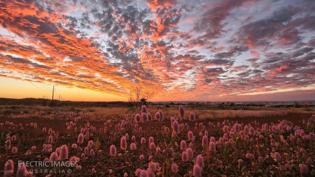 Sick of the cold and wet? Check out these Pilbara sunsets