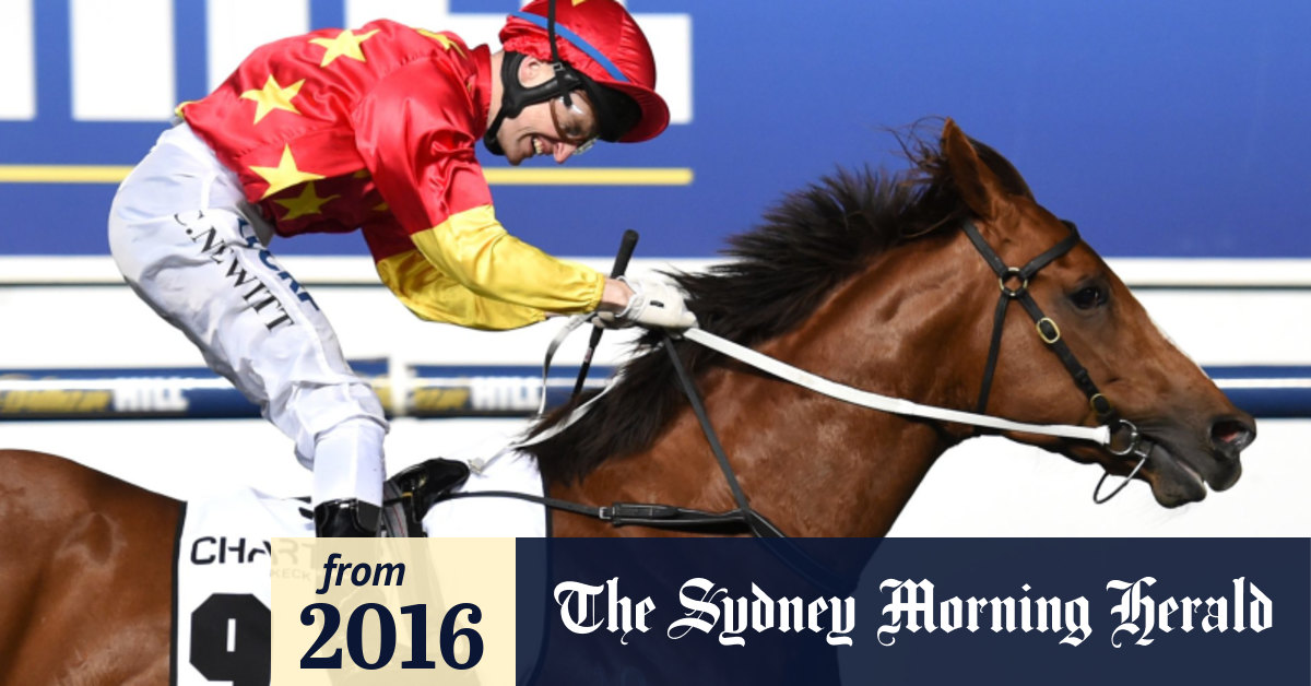 Newgate boss Henry Field building a racing dynasty the smart way