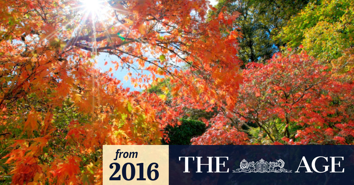 Melbourne weather: April's autumn warmth won't last the weekend