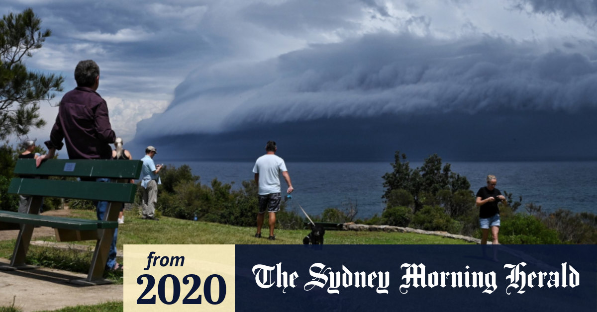 Photos of the week, November 5, 2020