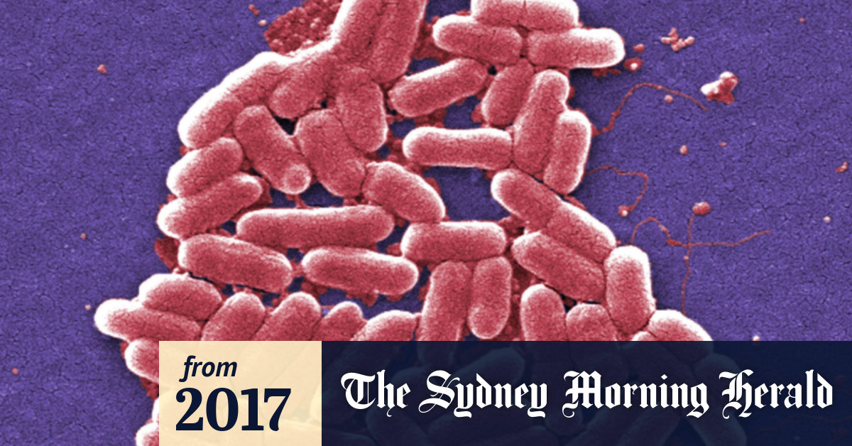 Antibiotics which kill useful bugs are giving cancer patients a kick in ...