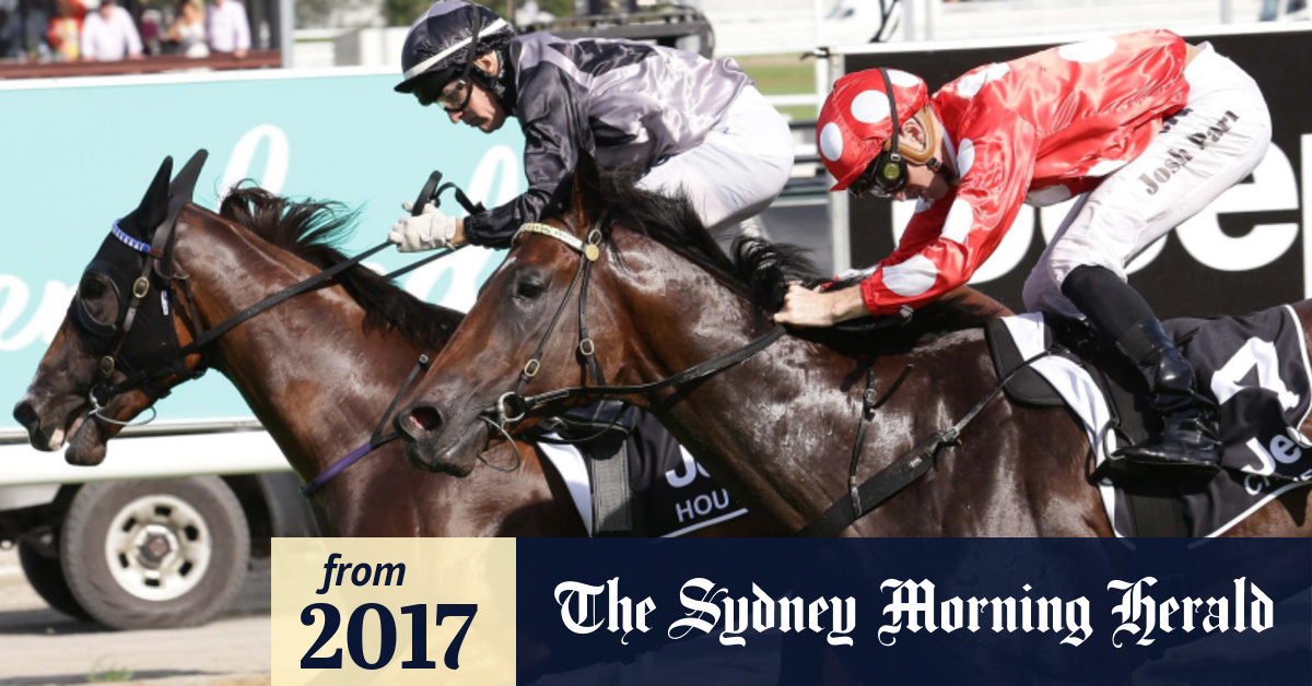 Gerald Ryan believes the Sires can be making of Chauffeur