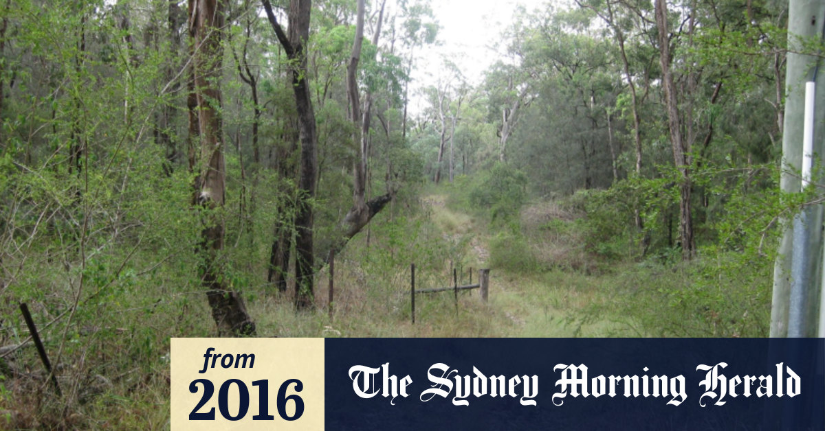 Mass graves to be studied at new Sydney body farm