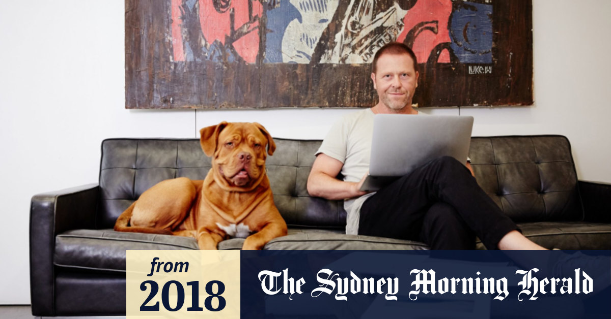 Spotlight: Dogs in the office