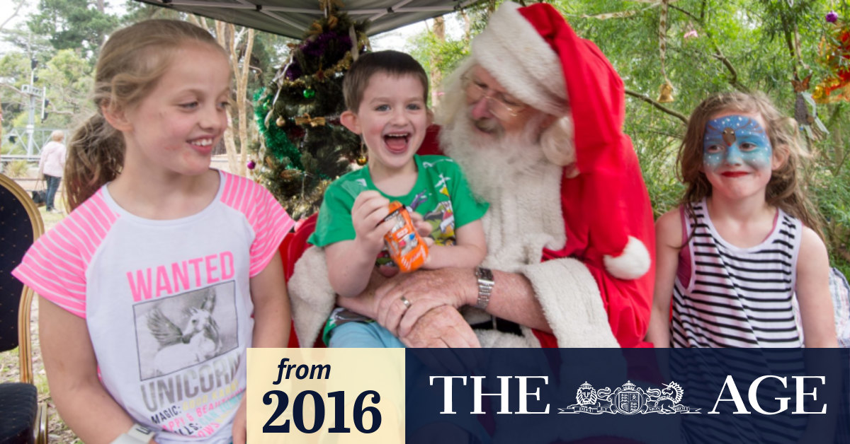 Ho ho, let's go: Fabulous Mr Fox dons his Santa suit for a frantic few ...