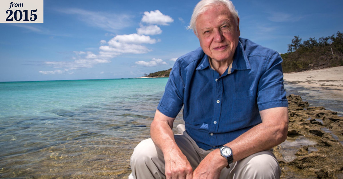 robert attenborough canberra