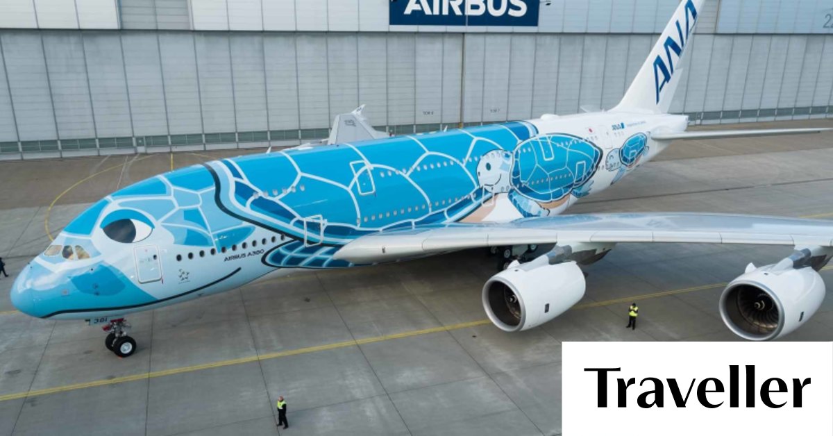 Turtle plane: Japan's first Airbus A380 superjumbo delivered to All ...