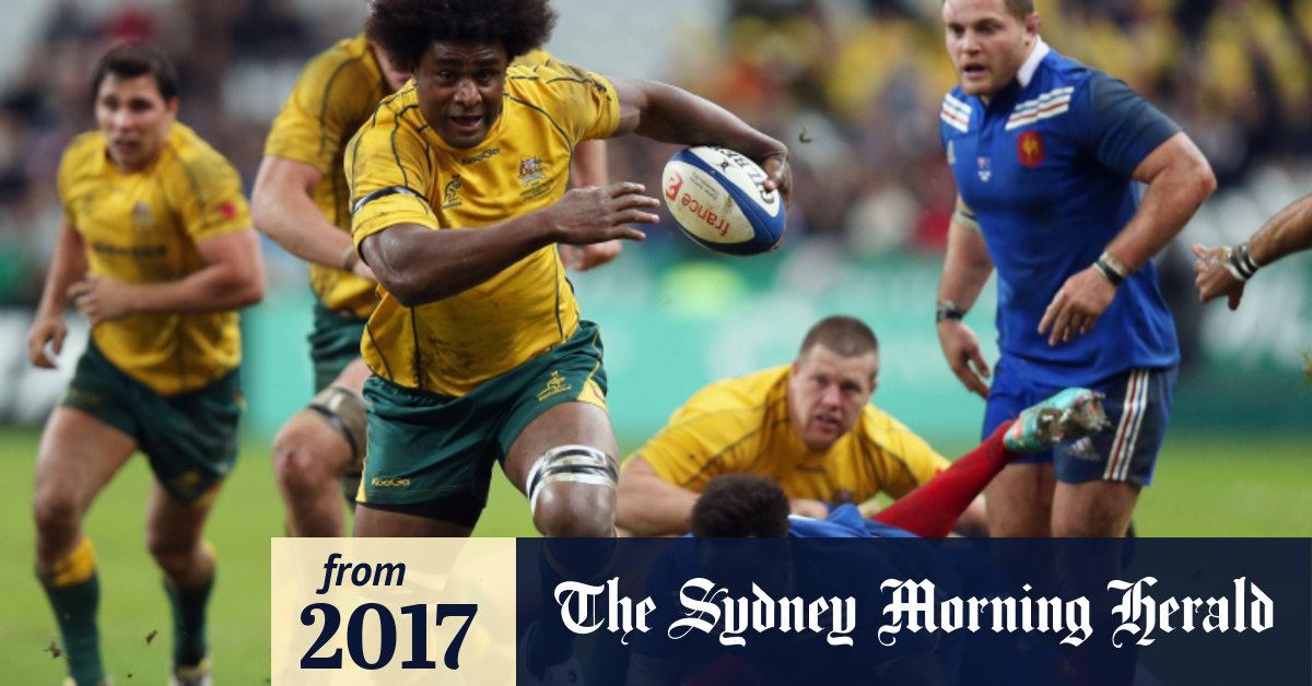 Former Wallabies star Radike Samo to return for Queensland Reds in ...