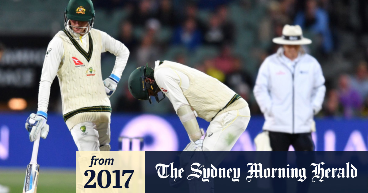 Ashes 2017: Nathan Lyon gets England's goat with stalling tactics in ...