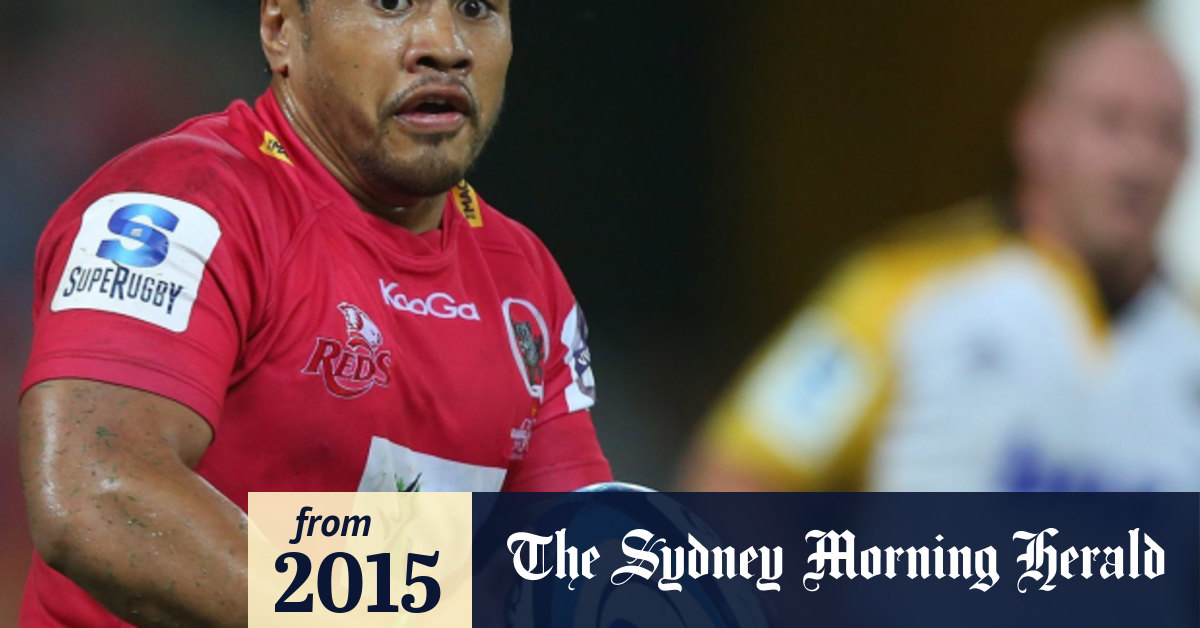 Ben Tapuai joins Western Force, Springboks Peter Grant rumoured to follow