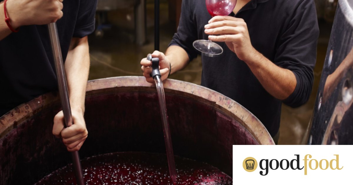 A beginner's guide to making your own wine