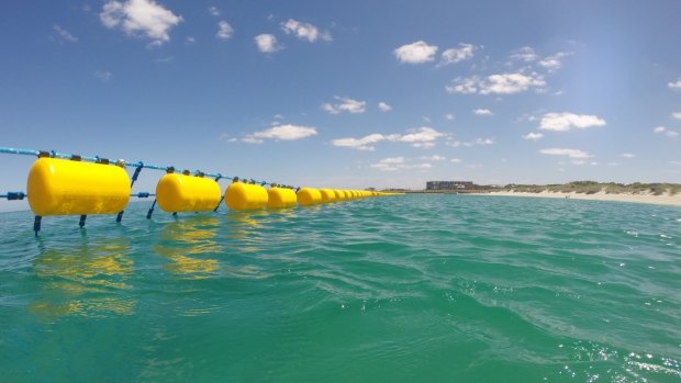 Barnett promises new shark barrier for Geraldton