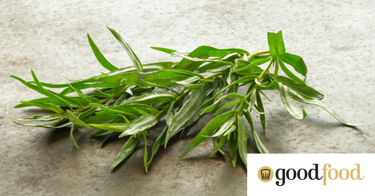 Tarragon: Everything you need to know