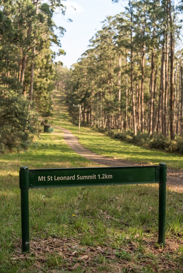Six Reasons To Visit: Healesville