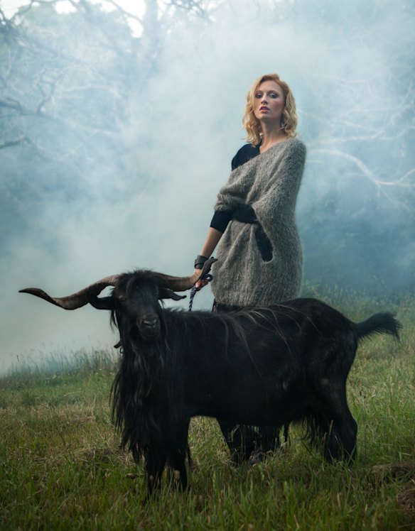 Here's looking at you, kid: why goats are flavour of the month (sorry ...