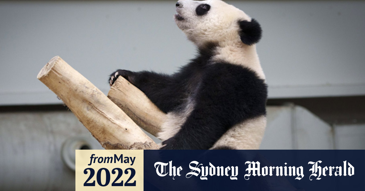 Gallery: The best photos from around the world