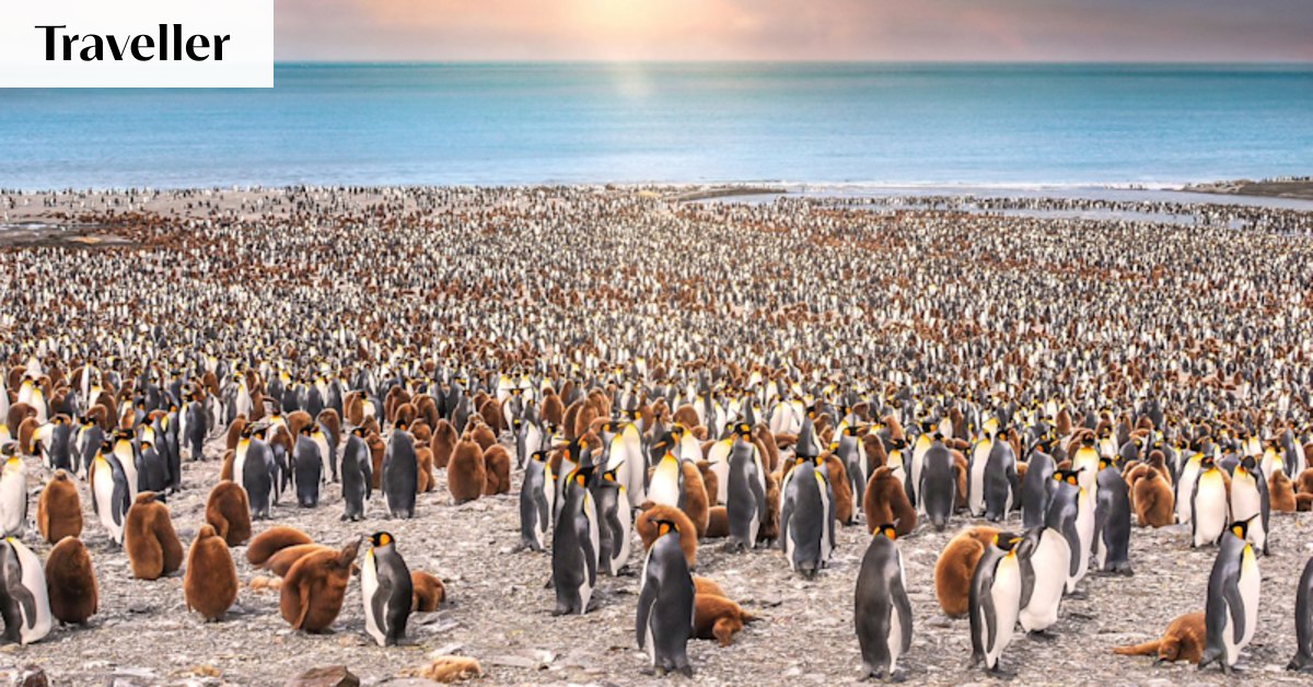 herald island postcode