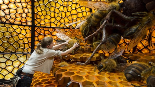 New exhibition at Melbourne Museum offers insight into super powers of bugs