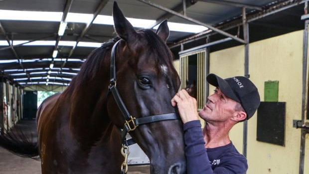 Peter Robl confident She's On Que's up to Inglis Classic debut